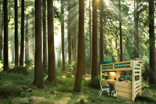 Green Plan – Varsity Loft Club